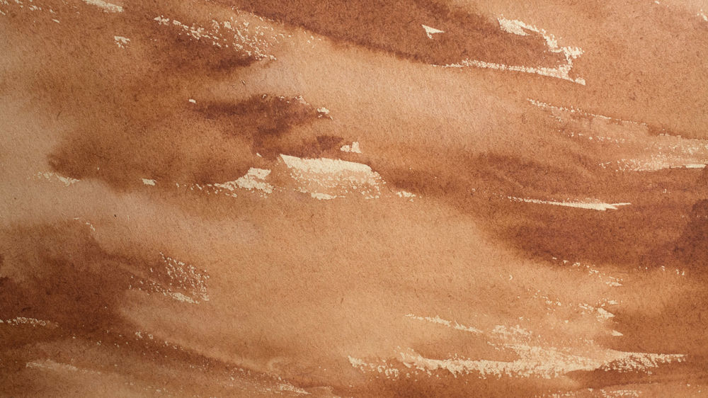 Qual o significado da cor Castanha? Entre o conforto e a impureza